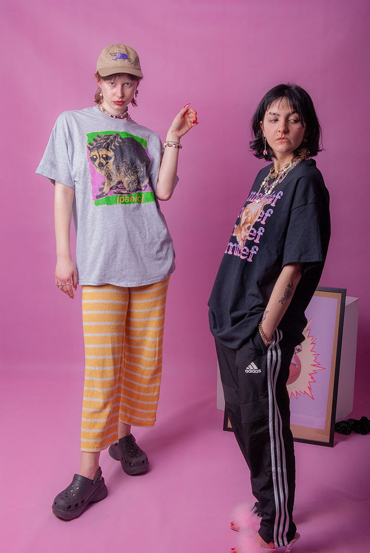 Collections – dogecore