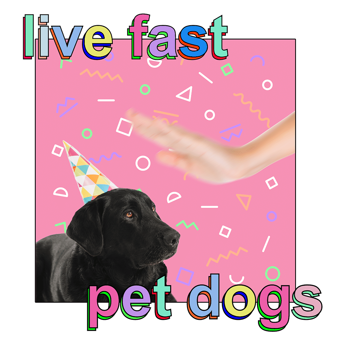 live fast pet dogs – dogecore