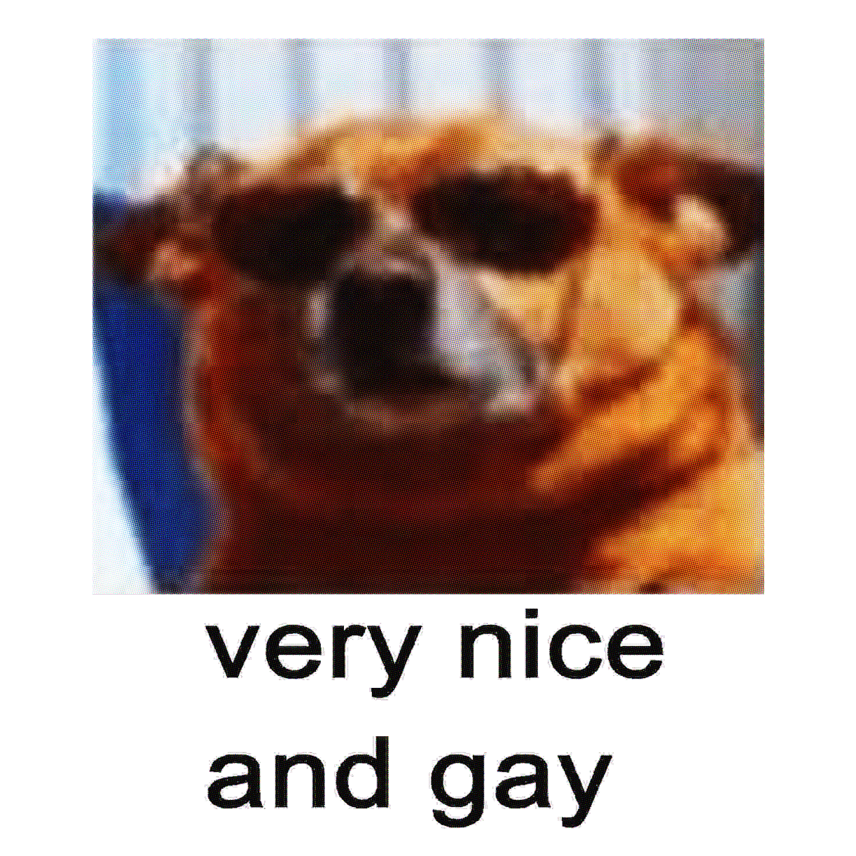 Gay Dogs Memes 25+ Darling Dog Memes For Canine Enthusiasts (September