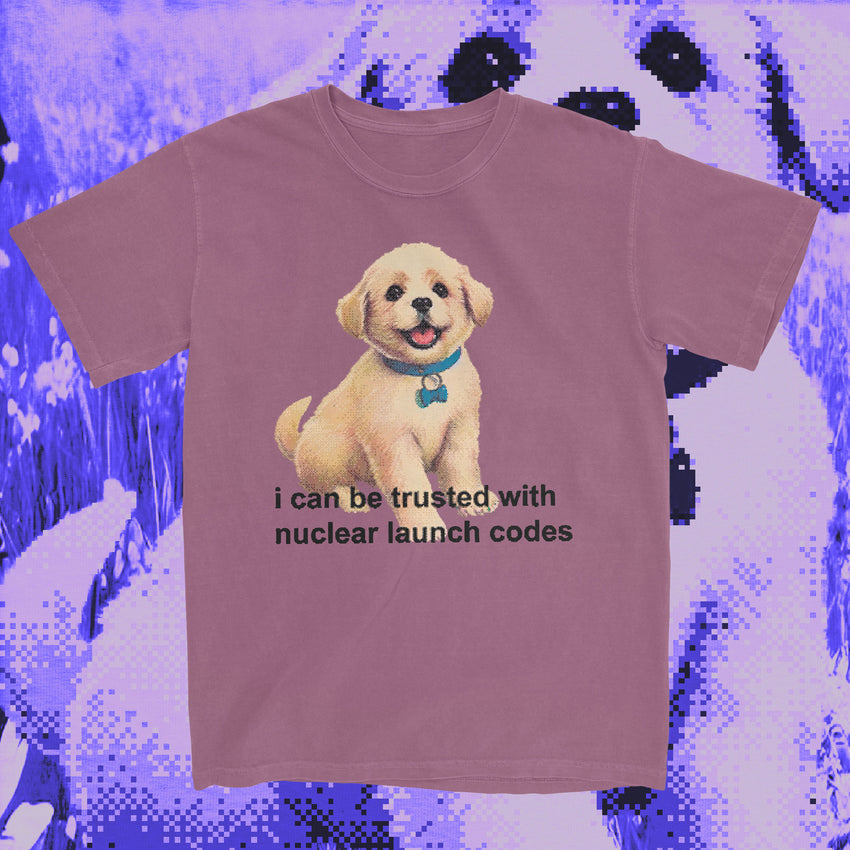 i can be trusted with nuclear launch codes – dogecore