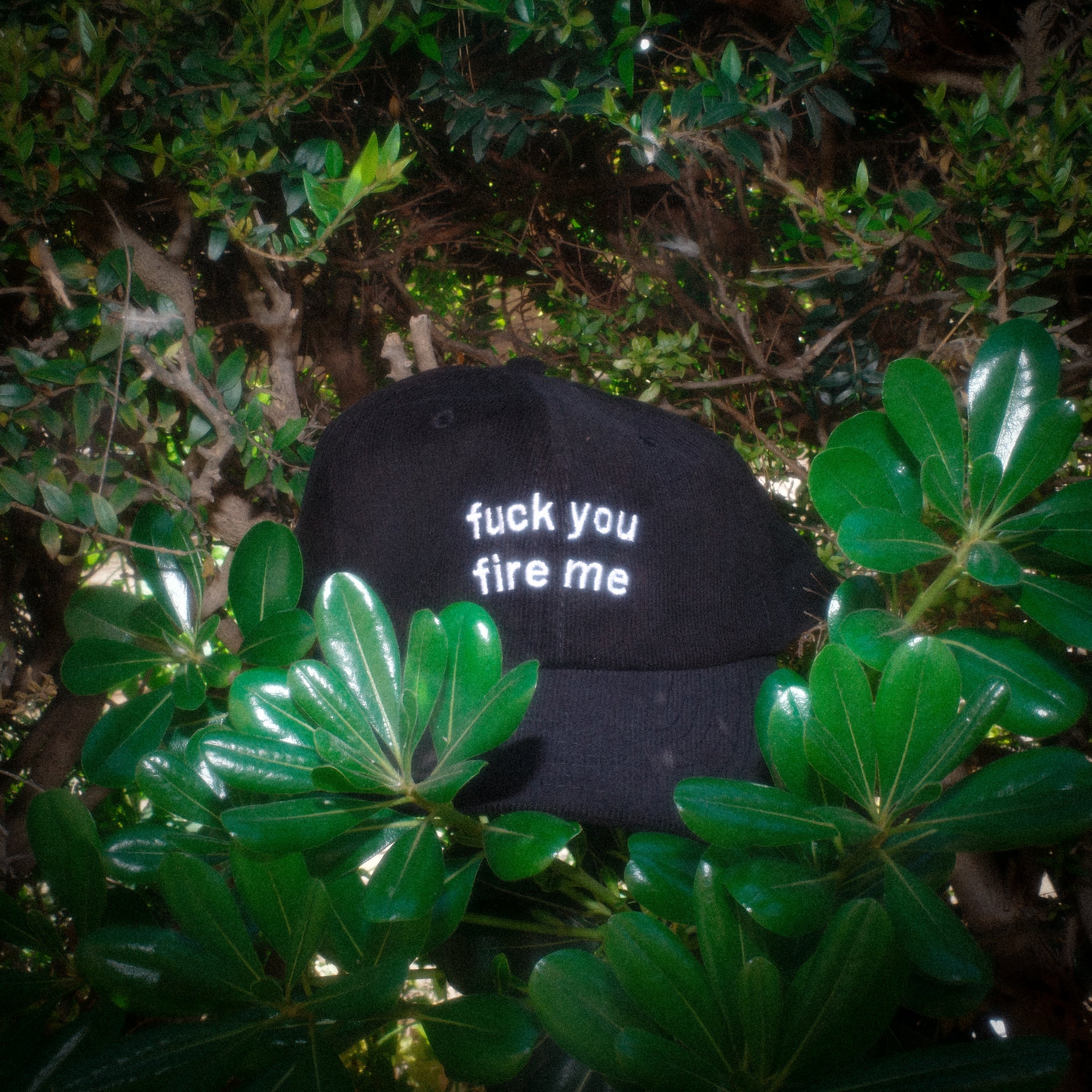 Corduroy hats – dogecore