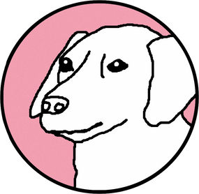 dogecore