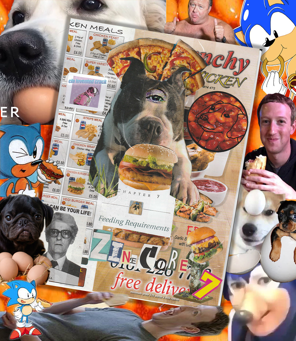 digital zine 7 – dogecore